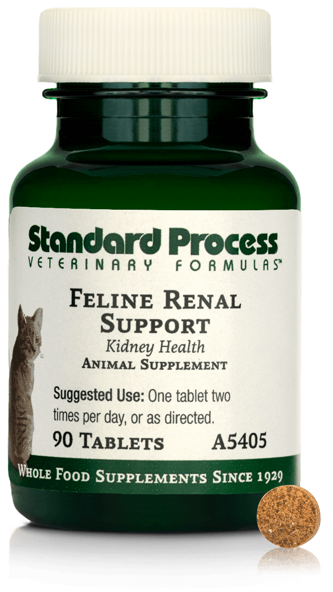 Feline Renal Support, 90 Tablets – The Hayden Institute Online Dispensary