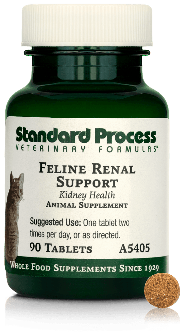 Feline Renal Support, 90 Tablets – The Hayden Institute Online Dispensary